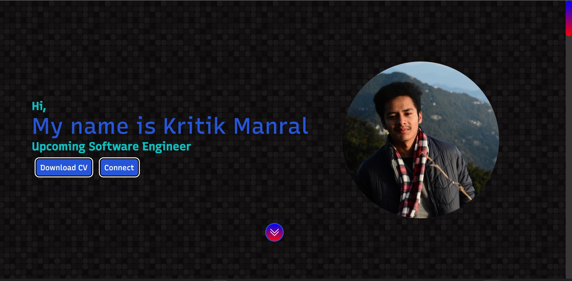 Kritik Manral-Developer Profile